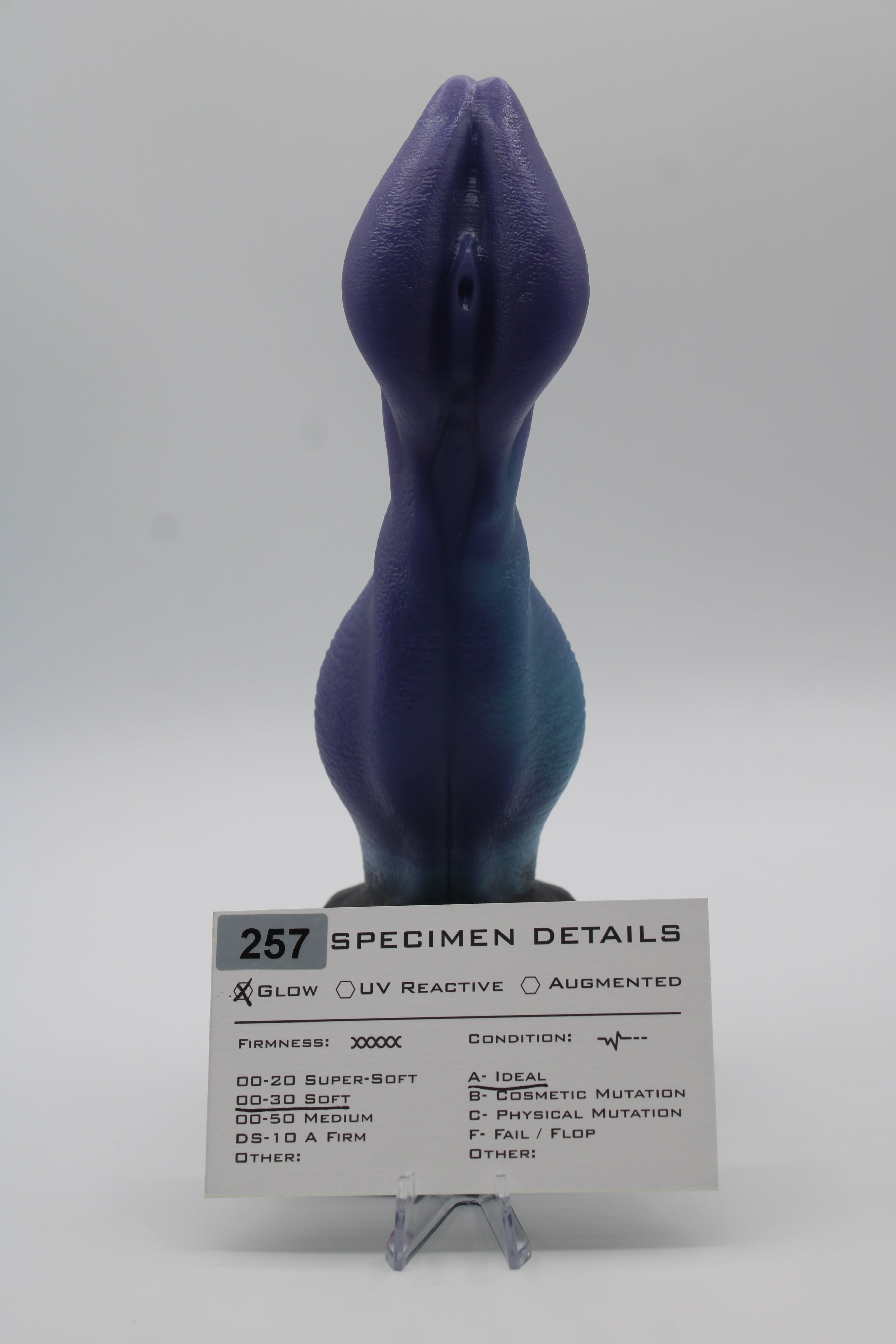 Products – Page 2 – XCA